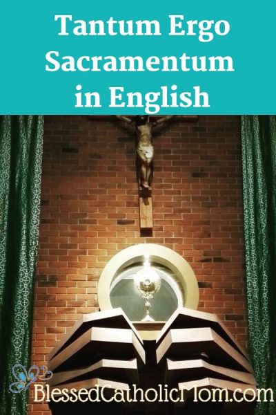 Tantum Ergo in English - Blessed Catholic Mom Recognize God for Who He is.
