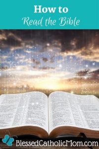 How to Read the Bible - Blessed Catholic Mom A Catholic Perspective on ...