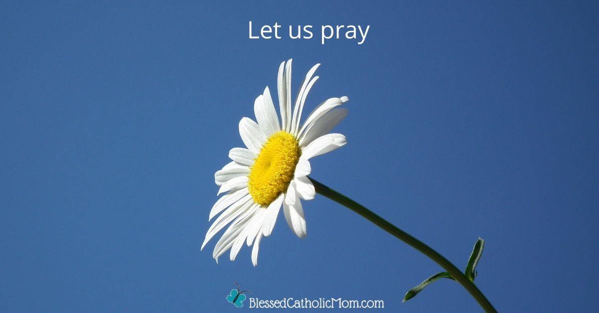 Prayer Intentions for June 2021 - Blessed Catholic Mom for Blessed ...