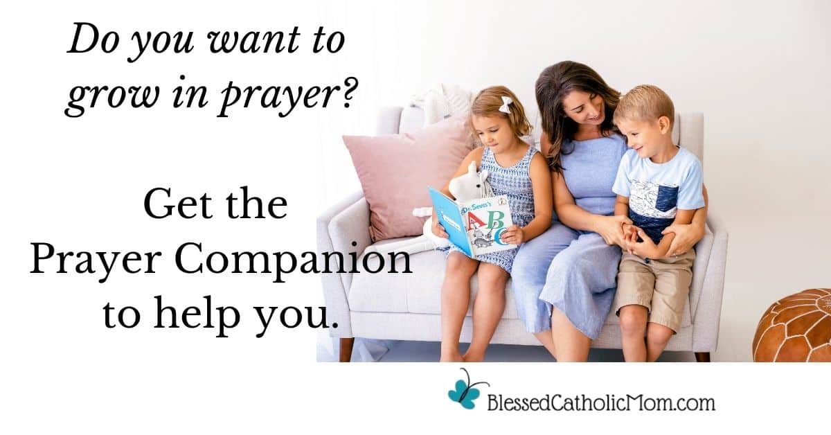 Get the Prayer CompanionT - Blessed Catholic Mom