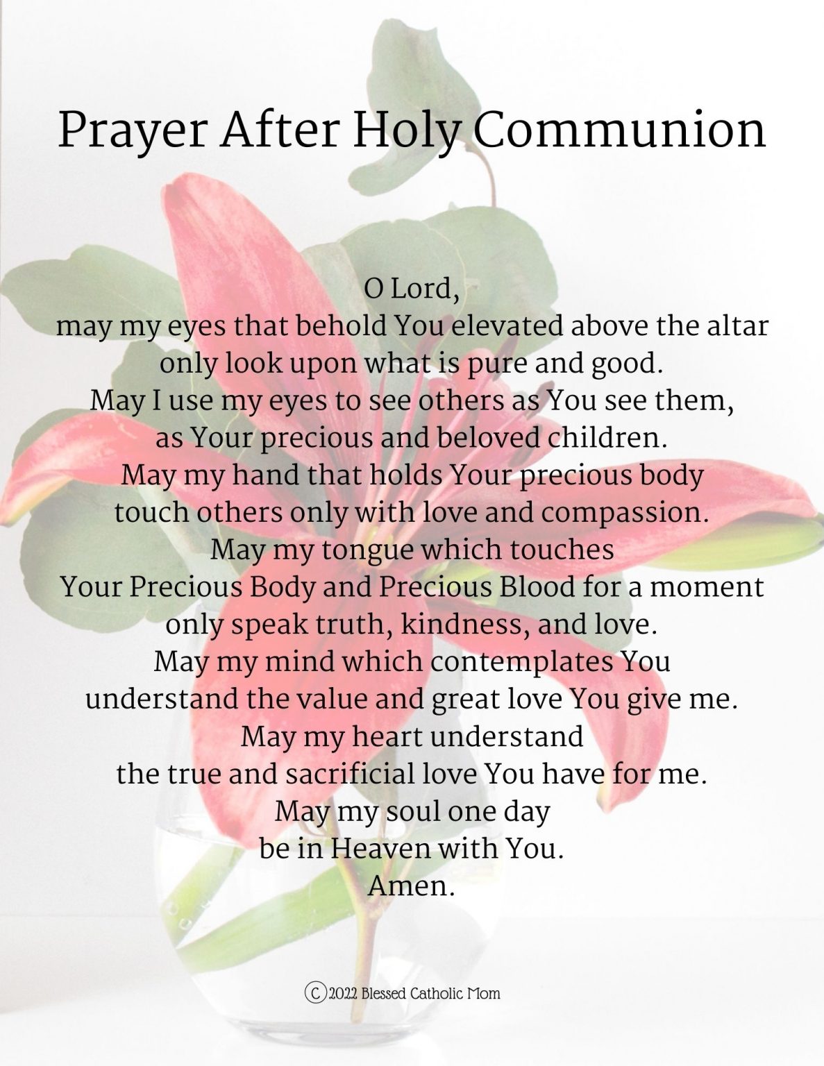 Prayer After Holy Communion - Blessed Catholic Mom May we be more like ...