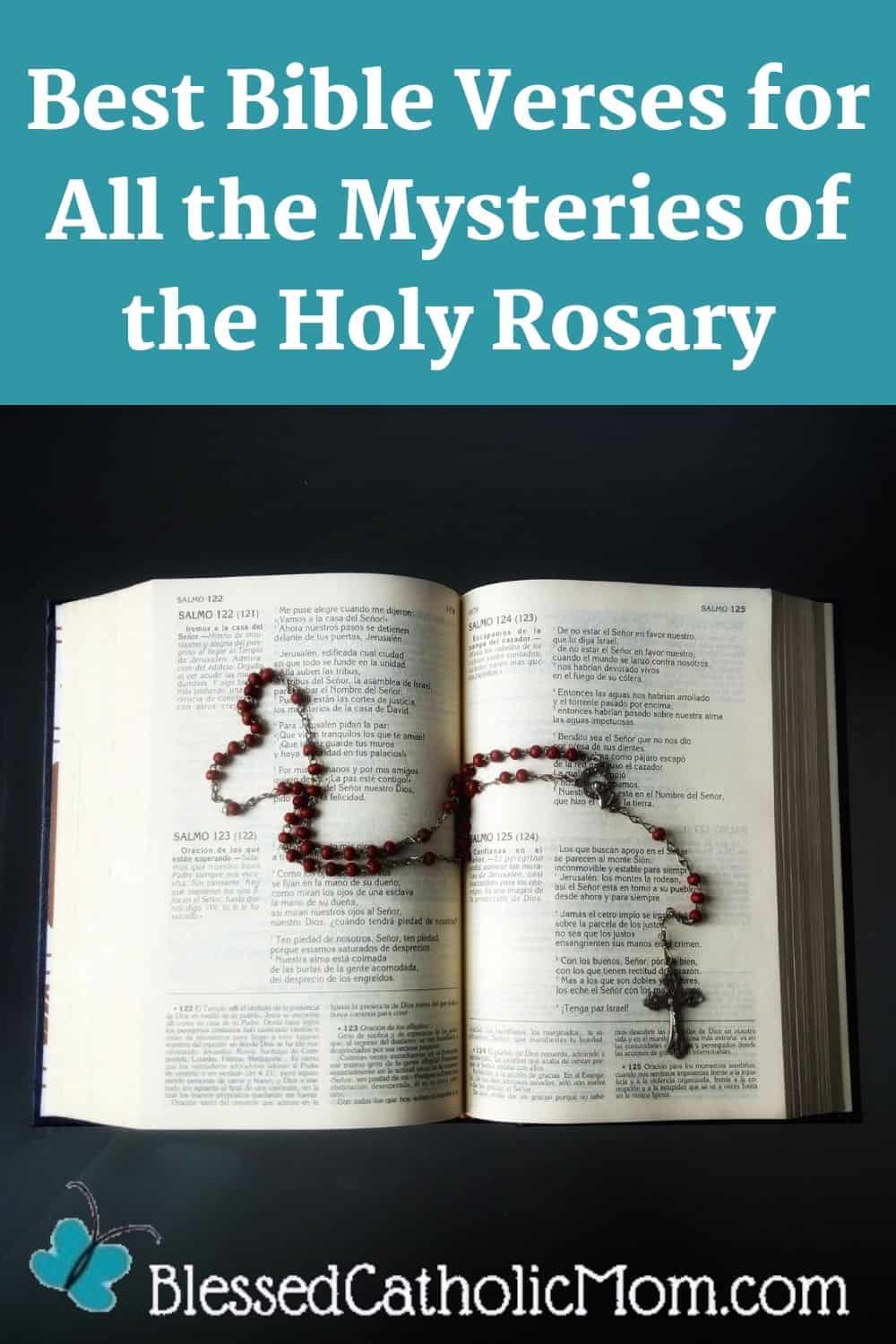 Best Bible Verses for All the Mysteries of the Holy Rosary - Blessed ...