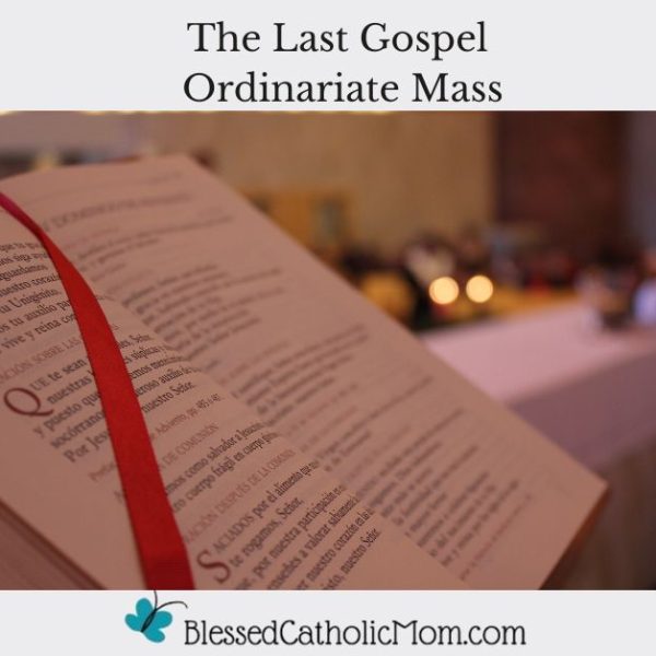 Prayers Archives - Blessed Catholic Mom Common and favorite prayers of our faith