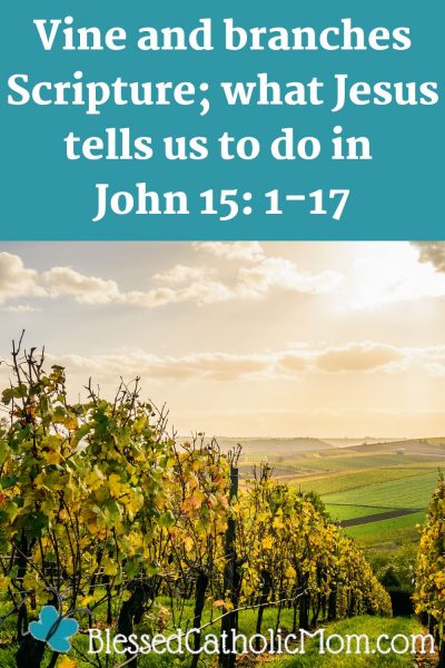 Vine and branches Scripture; what Jesus tells us to do in John 15: 1-17 ...