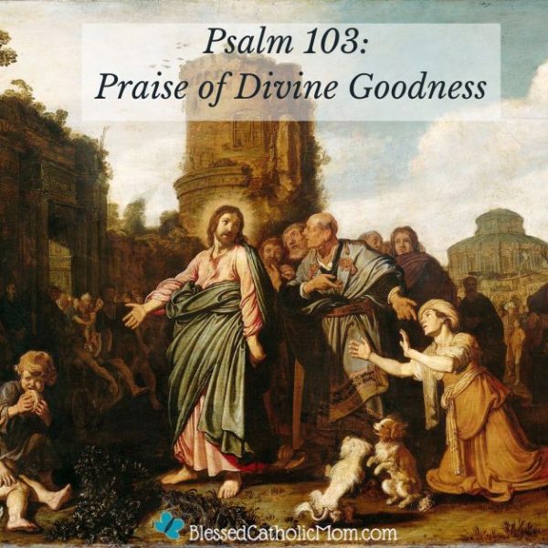 Prayers Archives - Blessed Catholic Mom Common and favorite prayers of our faith